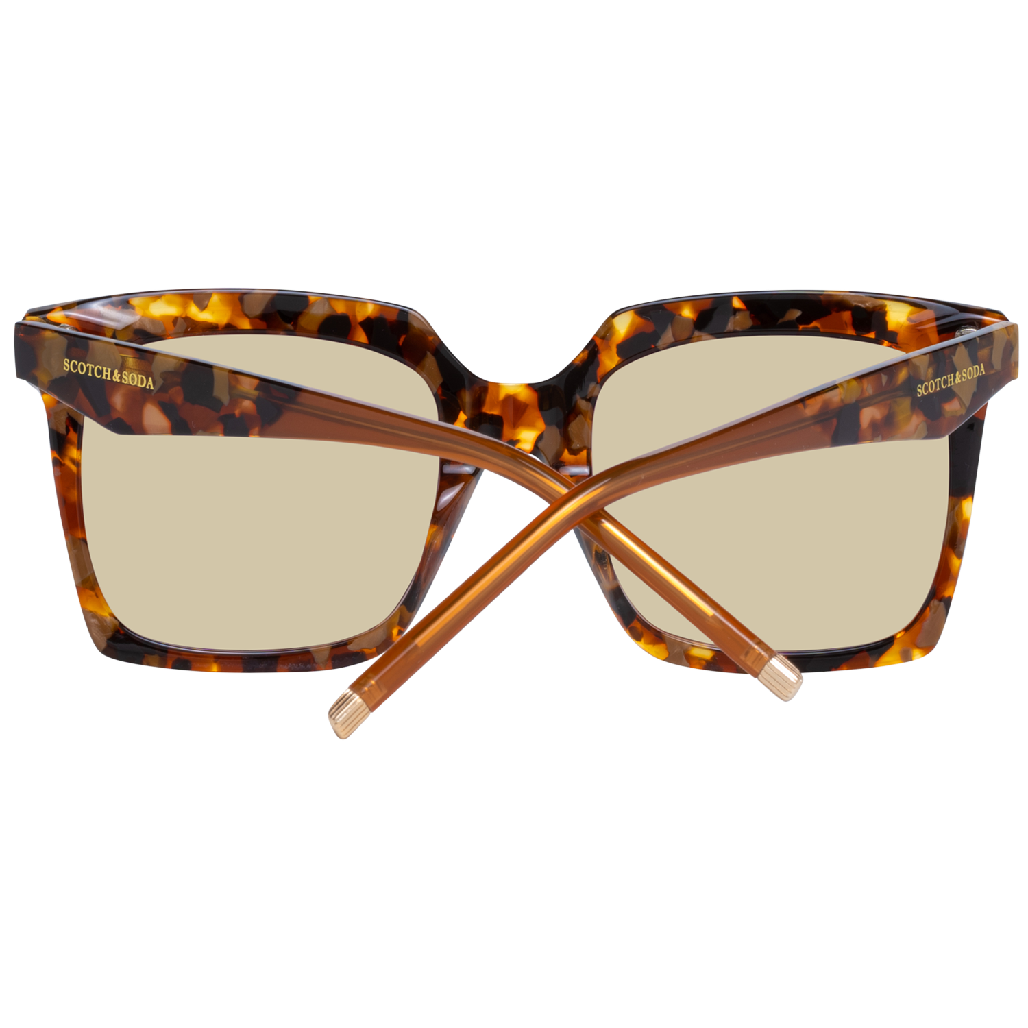 Okulary przeciwsłoneczne Damskie Scotch & Soda SS7009 100 54 Brązowe ...