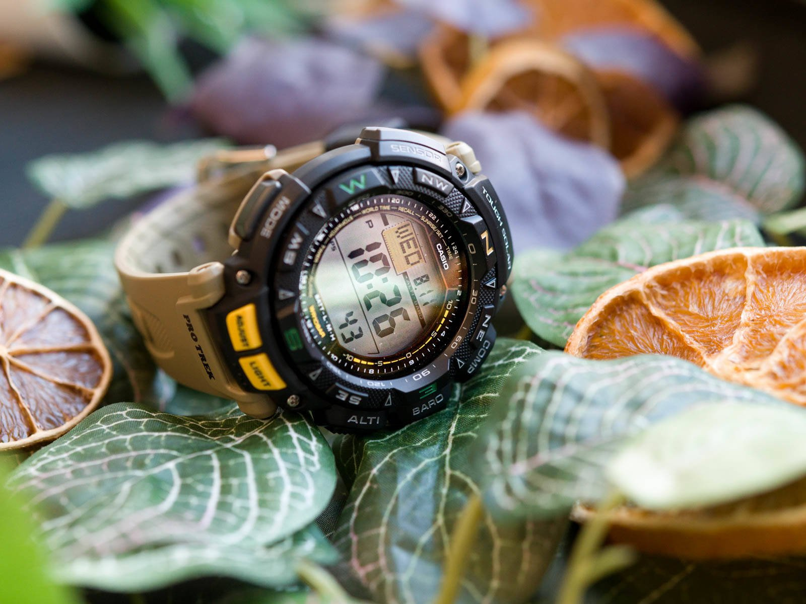 Zegarek Męski Casio PROTREK PRG-240-5ER - CrazyTime.pl